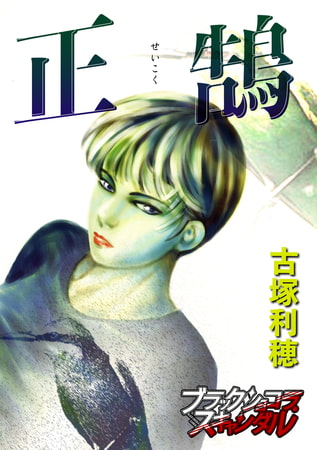 正鵠 [forcs] | DLsite comipo