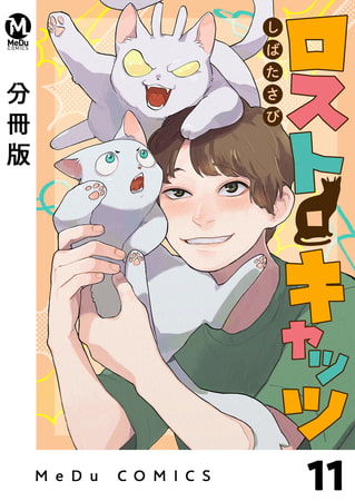 【分冊版】ロスト・キャッツ 11 [GOT] | DLsite comipo