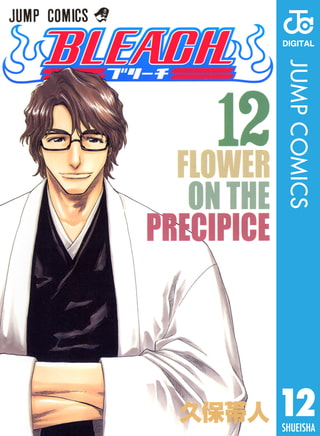 BLEACH モノクロ版 12 [集英社] | DLsite comipo