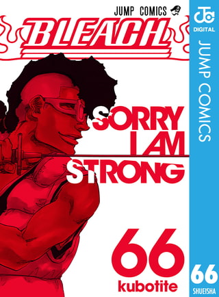 BLEACH モノクロ版 66 [集英社] | DLsite comipo