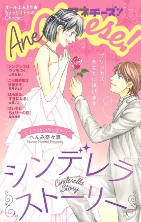 AneCheese! 24号 [小学館] | DLsite comipo