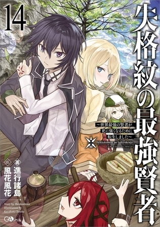 失格紋の最強賢者14 〜世界最強の賢者が更に強くなるために転生しました〜 [SBクリエイティブ] | DLsite comipo